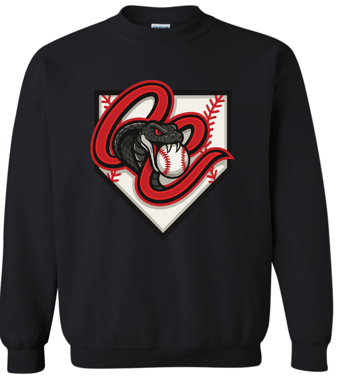 Cobras logo – The Spirit Rally